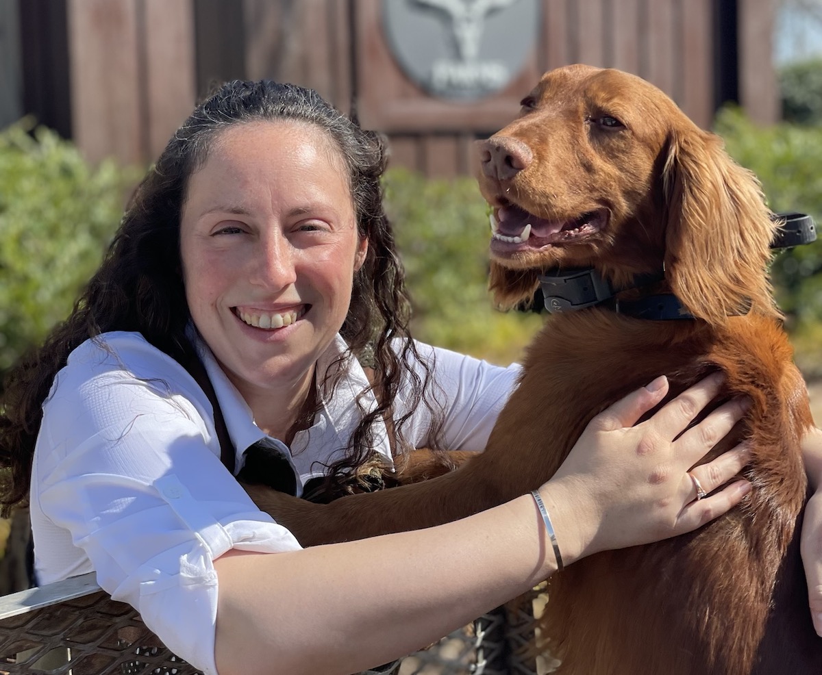 Enjoyable and Relaxing Quail Hunting Experience